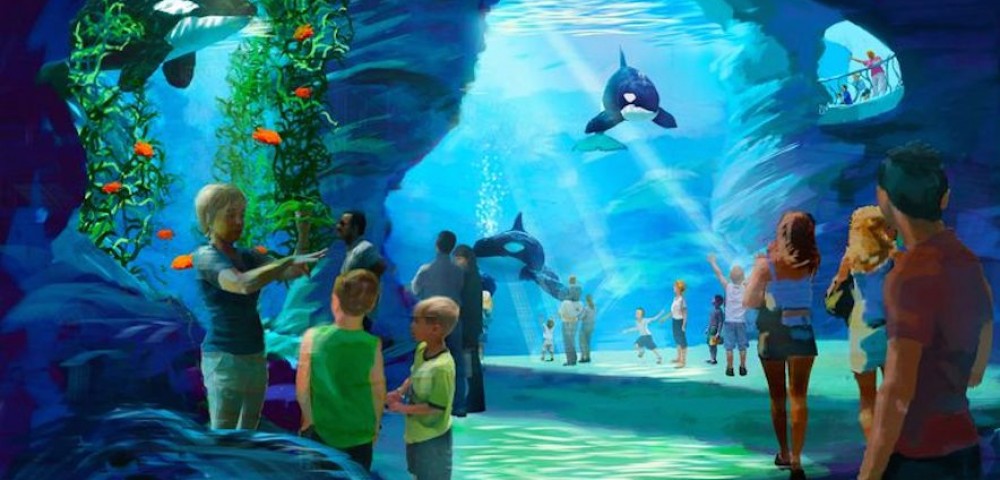 BREAKING: SeaWorld Announces Blue World Project