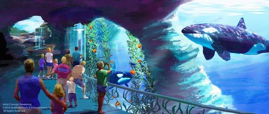 BREAKING: SeaWorld Announces Blue World Project