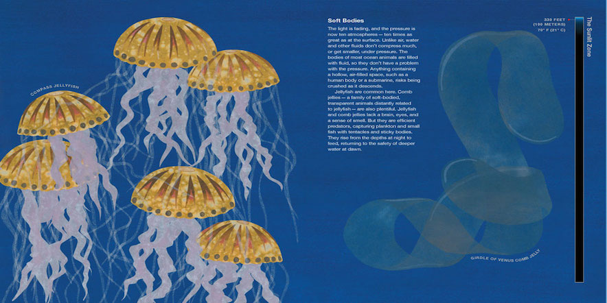 9 Children's Books That Prove the Ocean is Awesome