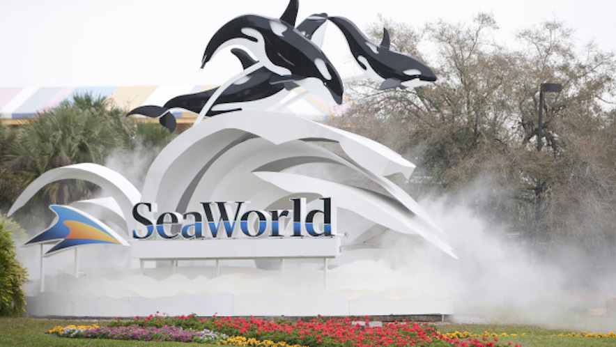 Why Condemning SeaWorld Is A Really Bad Idea