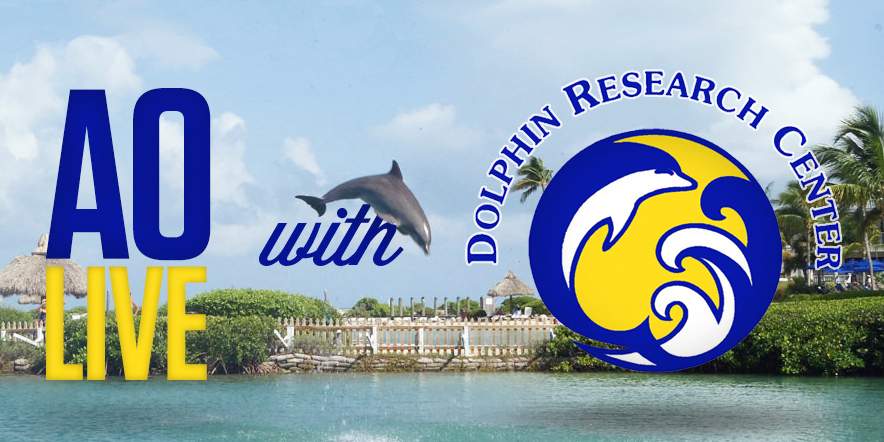 Dolphin Research Center Answers Your Questions