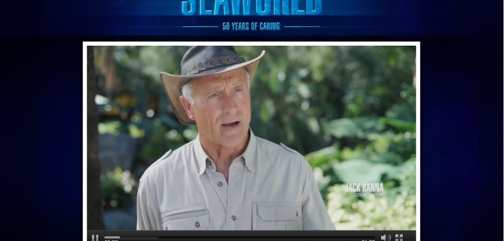 New Documentary Lets SeaWorld Trainers Speak