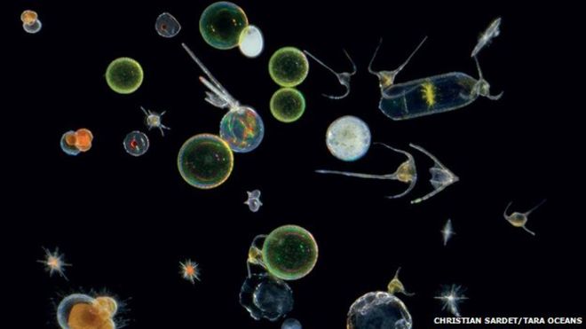 Come and Get Your Science With These Awesome Pics!