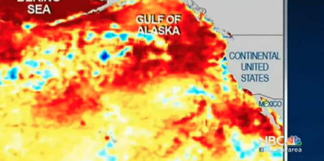 Mysterious Warm Water 'Blob' Inches Closer to California