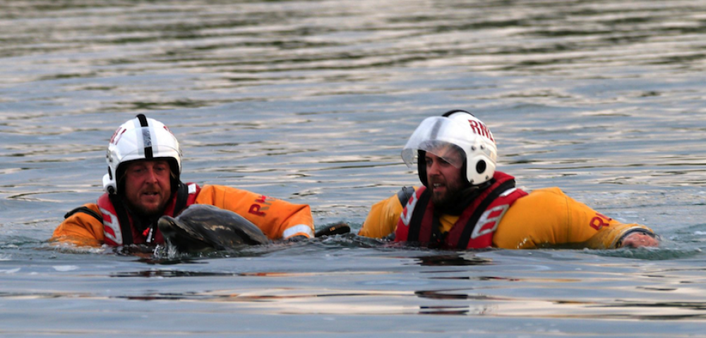 Irish Lifeboat Crew Responds To 'Unusual Request'