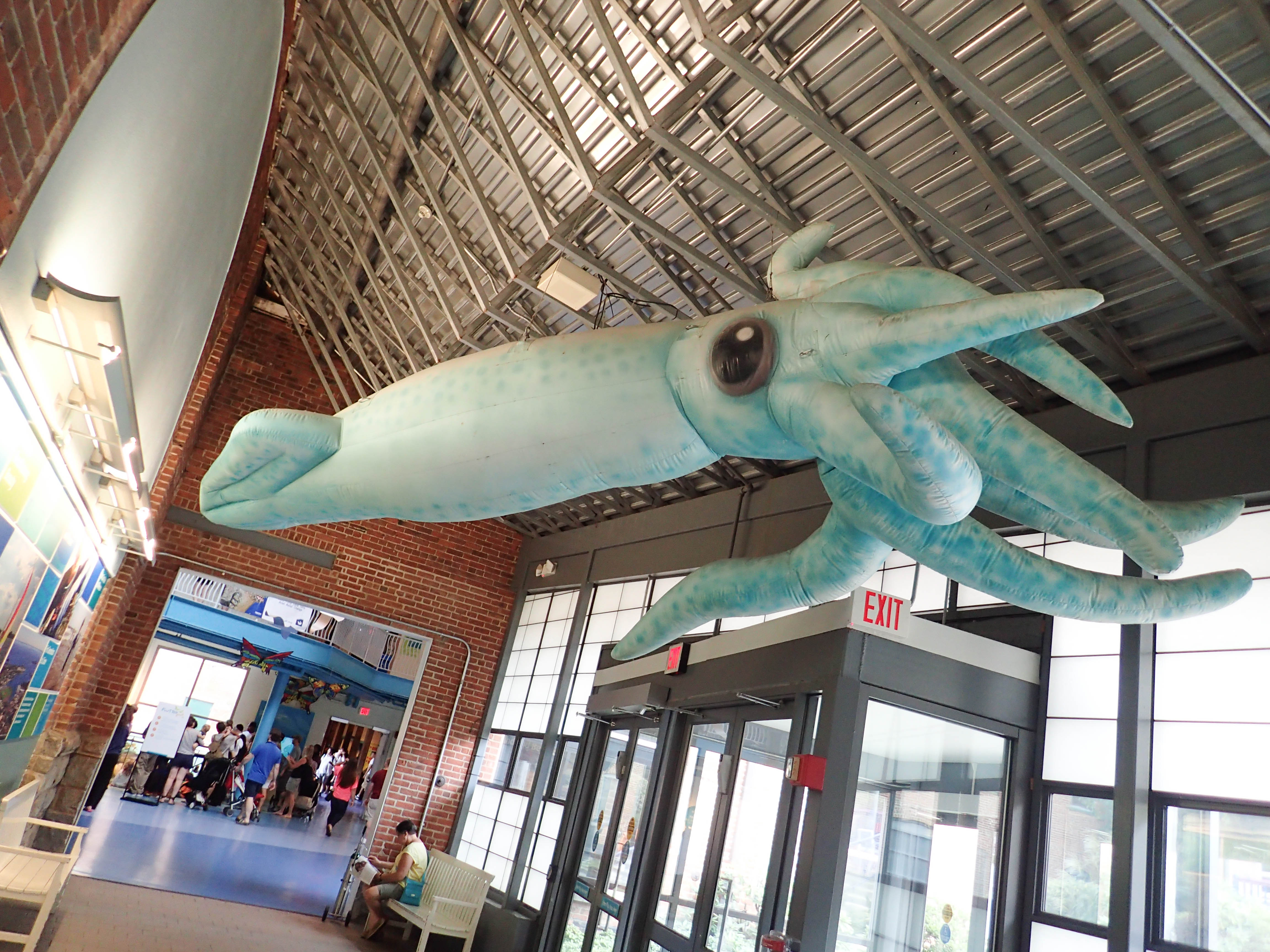 Aquarium Spotlight: The Maritime Aquarium At Norwalk
