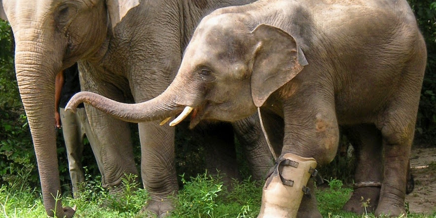 10 Reasons To Be Thankful For SeaWorld