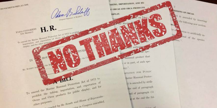 An Open Letter To US Rep Adam Schiff by Carolyn Hennesy - Awesome Ocean