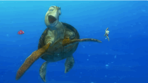 5 Times Finding Nemo Happened In Real Life