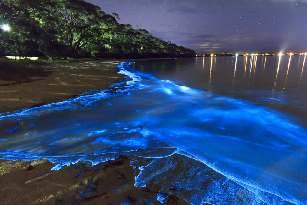 5 Colorful Beaches To Spice Up Your Next Vacation
