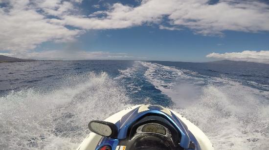 Jet-skiing with a Fly Crew of 10 Bottlenose Dolphins - Awesome Ocean