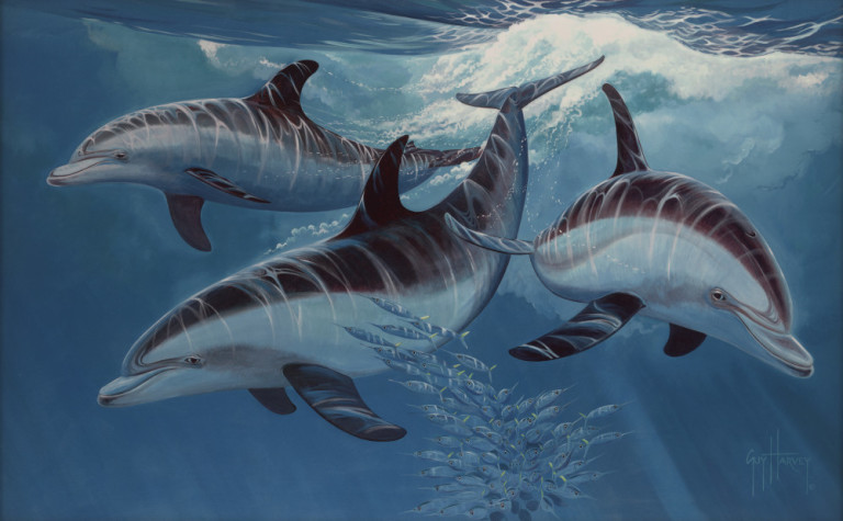 14 Best Marine Life Paintings You Need For Your Walls