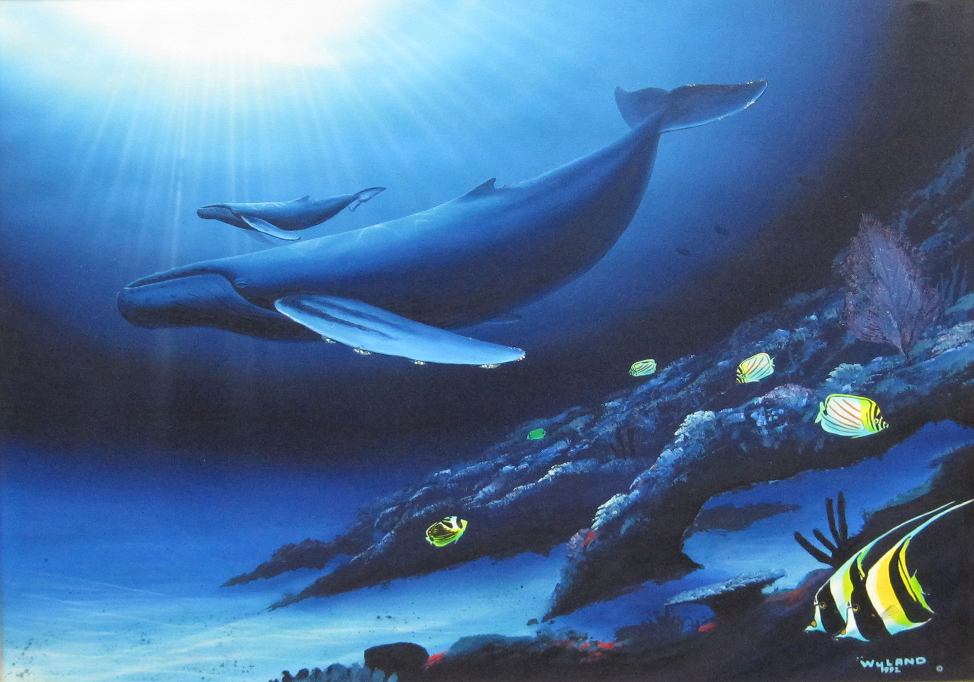 14 Best Marine Life Paintings You Need For Your Walls