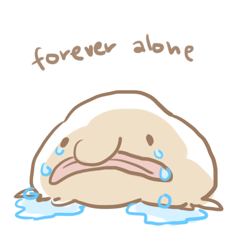 7 Marine Animals That Are As Single As You Feel