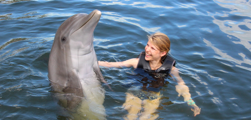 Why Dolphins Are the Most Intelligent Ocean Creature