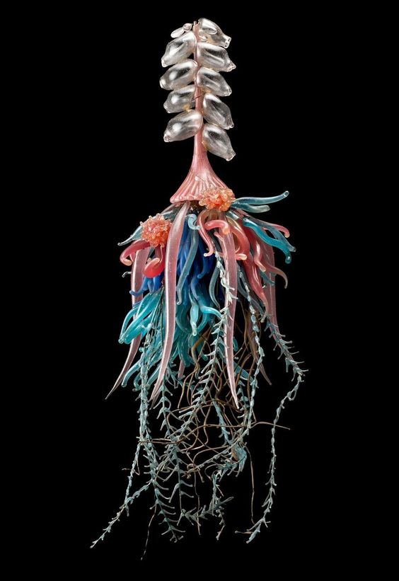 These Sea Creatures Made Out Of Glass Will Blow Your Mind