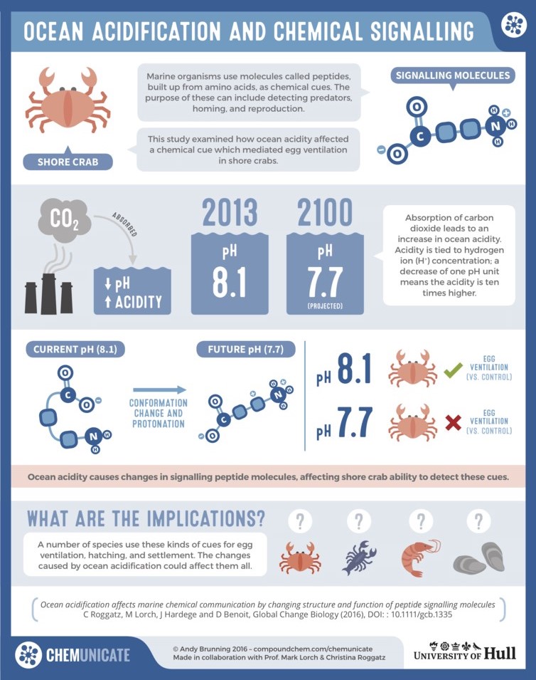 What's That Smell? Soon, Marine Animals Might Not Know.