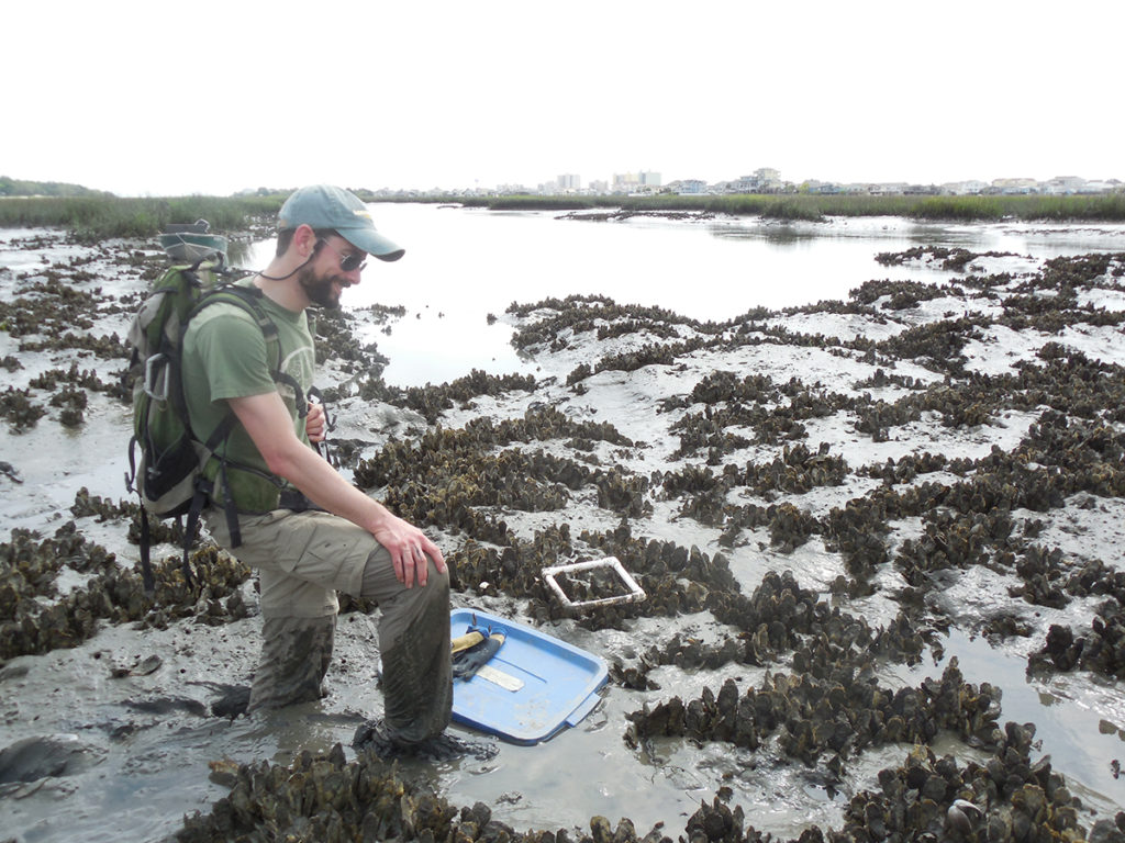 Digging Up Answers To The Oyster Problem