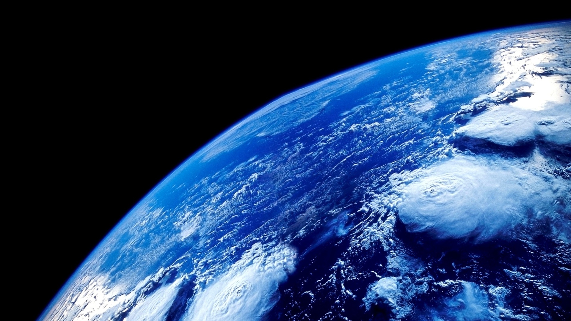 5 of the Best Must-Watch Ocean Documentaries on Netflix