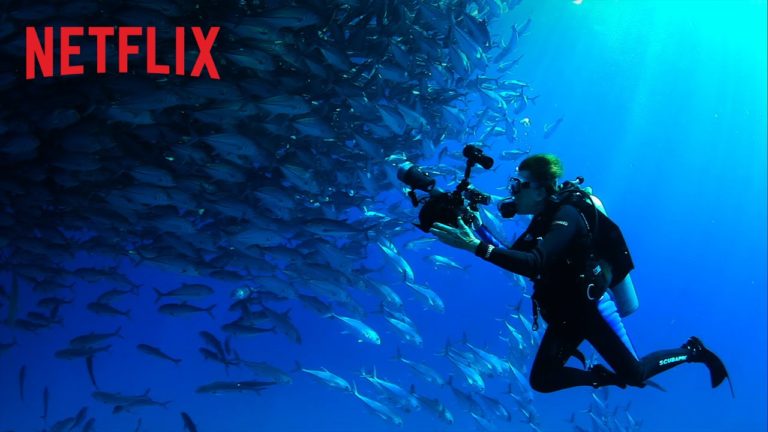 5 of the Best Must-Watch Ocean Documentaries on Netflix