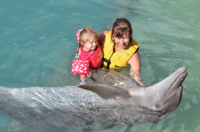 Therapy With Dolphins: How Dolphins Are Healing Children
