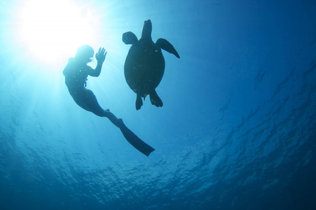 Free-Diving Into A Natural Underwater Reflex