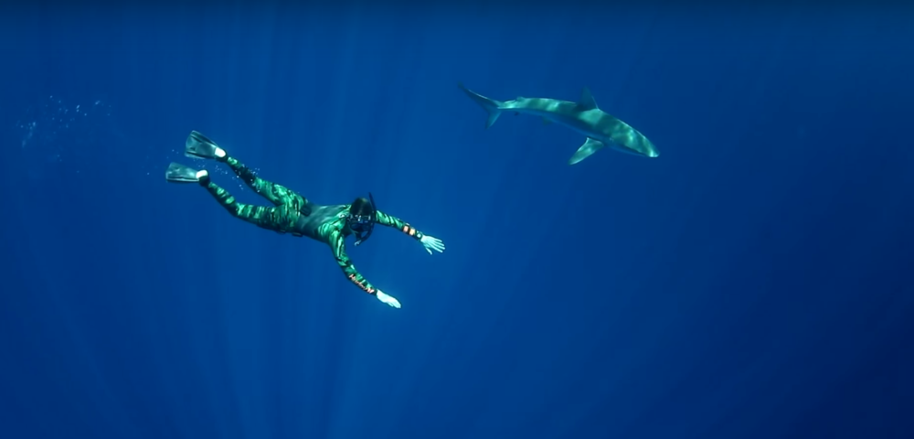 Daring Free Divers Leave Their Cage And Take A Swim With The Sharks