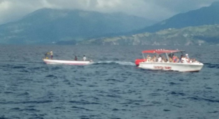OUTRAGE: Cruise Ship Whale Watchers Witness Orca Harpooned By Whalers
