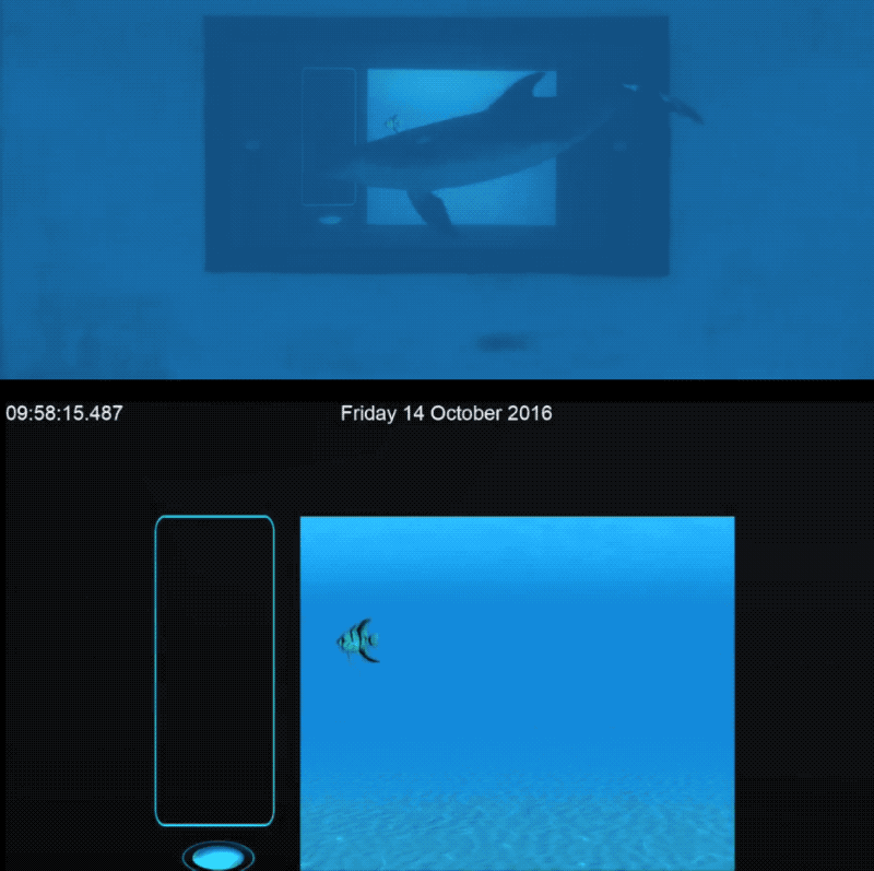 Eight-Foot Underwater Touchscreen Is The New Big Thing In Dolphin Research
