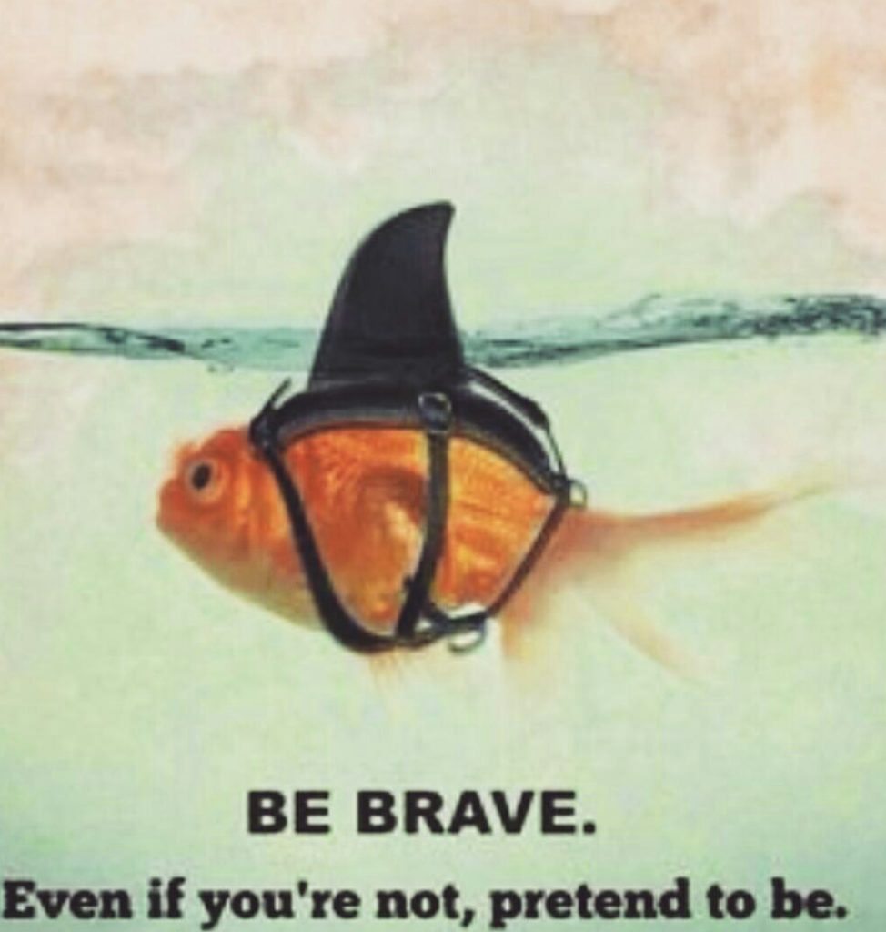 Being Brave Can Have Big Consequences For Small Fish