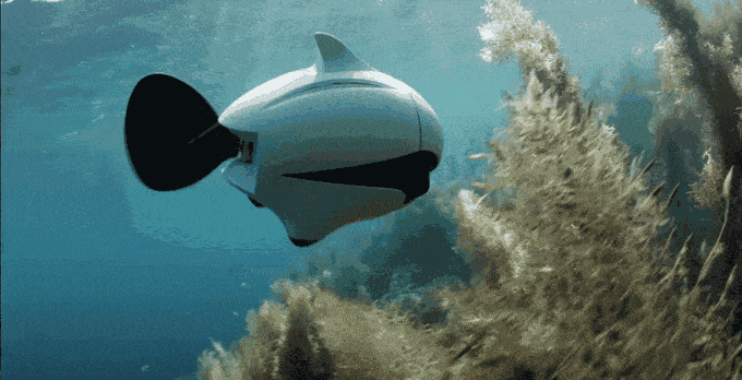 The Cutest New Underwater Drone Will Swim Right Into Your Heart