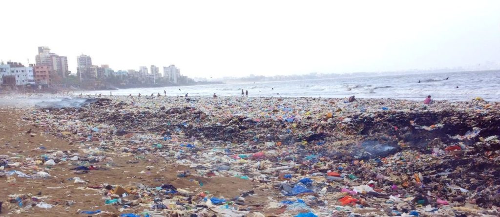 Looking Good, Mumbai! Versova Beach Is Stunning After Massive Cleanup