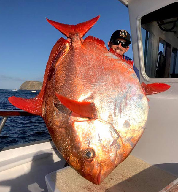 OPAH! One Big Opah Fish Caught Off The Coast Of California