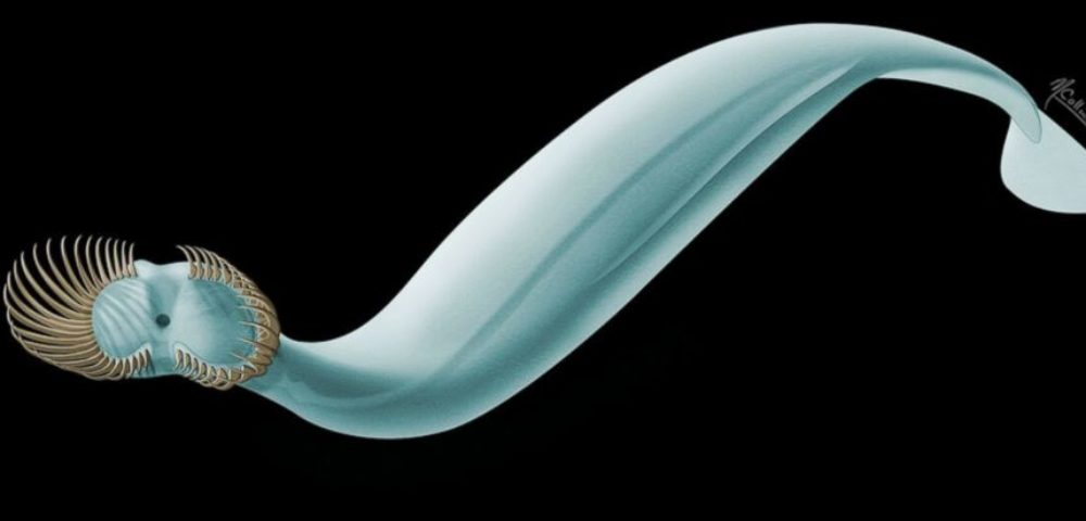 Terrifying Prehistoric Deep Sea Worm With Spines On Its Head Has Been ...