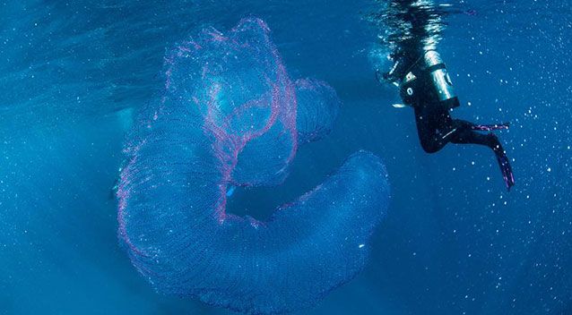 What Could This Massive Tube Found In Australian Waters Be?