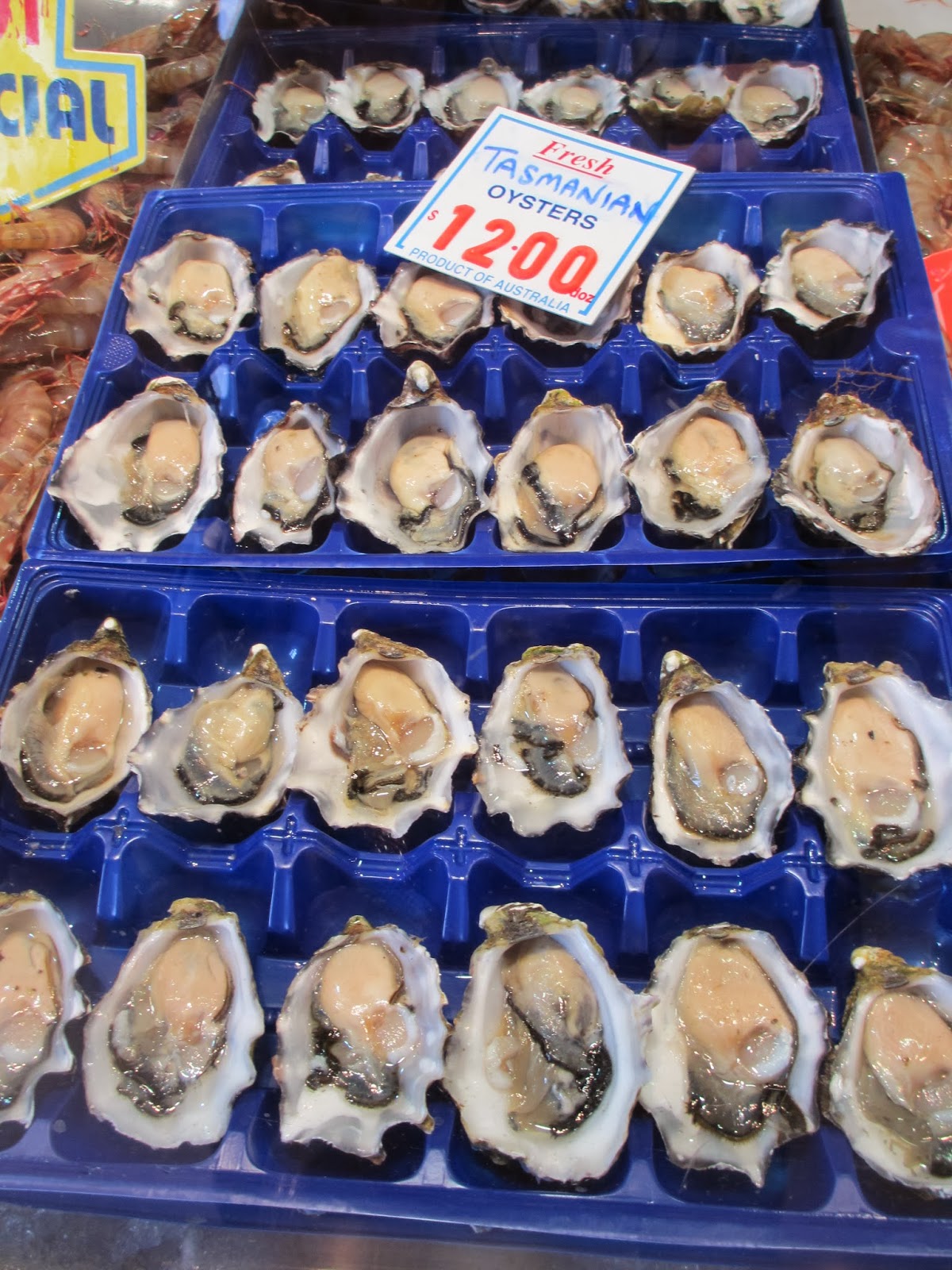 South African Shellfish Are Being Poached With Violent Consequences