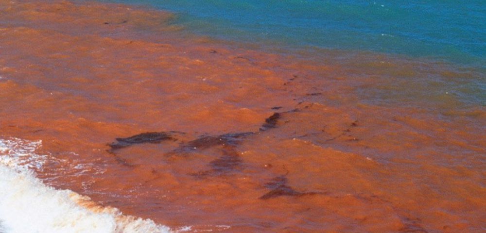 Big Blob Of Red Doom Seen Off The Coast Of Southwest Florida