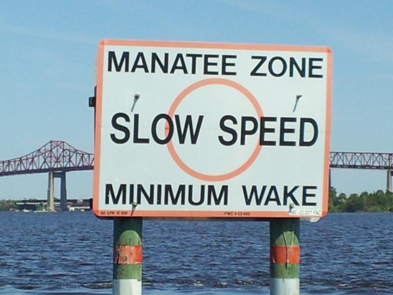 Slow Down For Manatees And Mermaids! - Awesome Ocean
